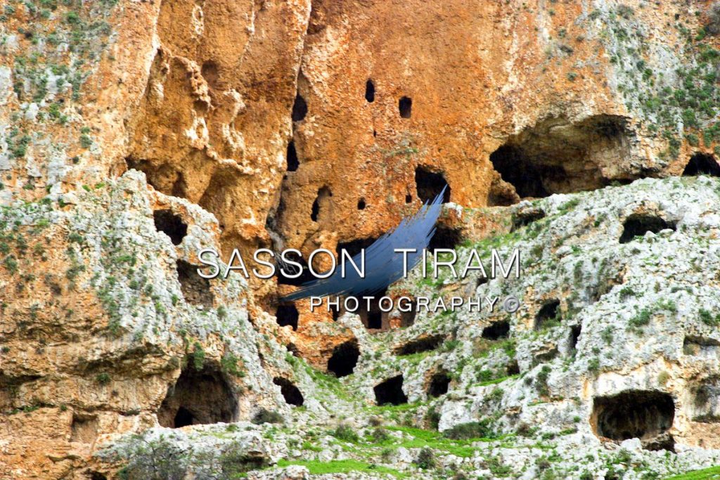 Mount Arbel (Hebrew: הר ארבל‎, Har Arbel) in The Lower Galilee near ...